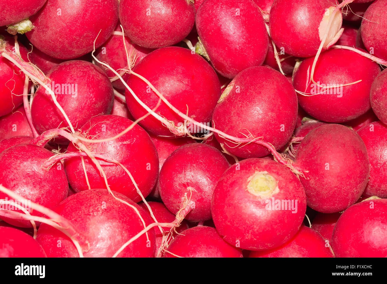 Radish red hi-res stock photography and images - Alamy