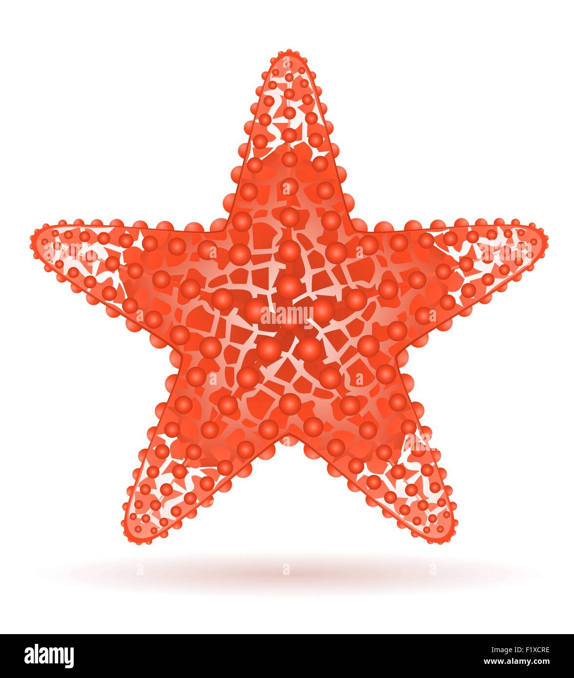 starfish vector illustration isolated on white background Stock Vector ...