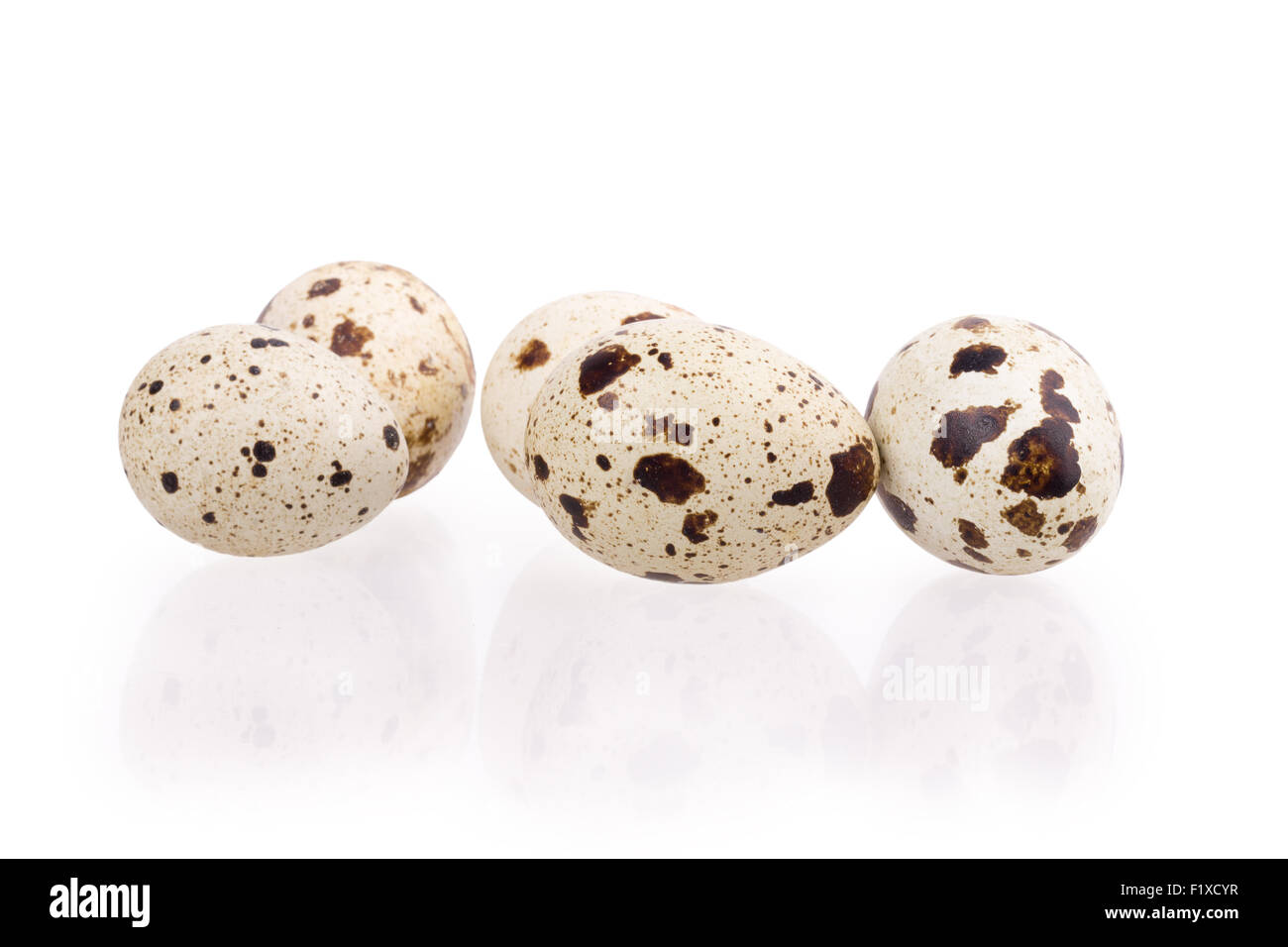 quail eggs on a white background Stock Photo - Alamy