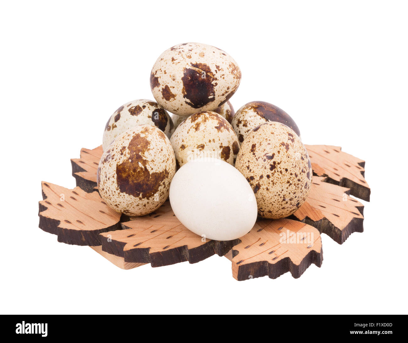 quail eggs on white background Stock Photo - Alamy