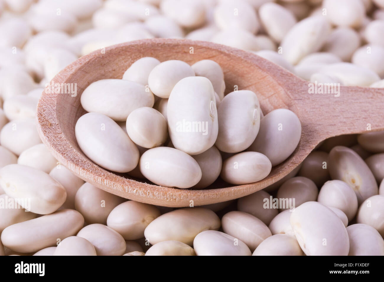 spoon beans on white background Stock Photo - Alamy