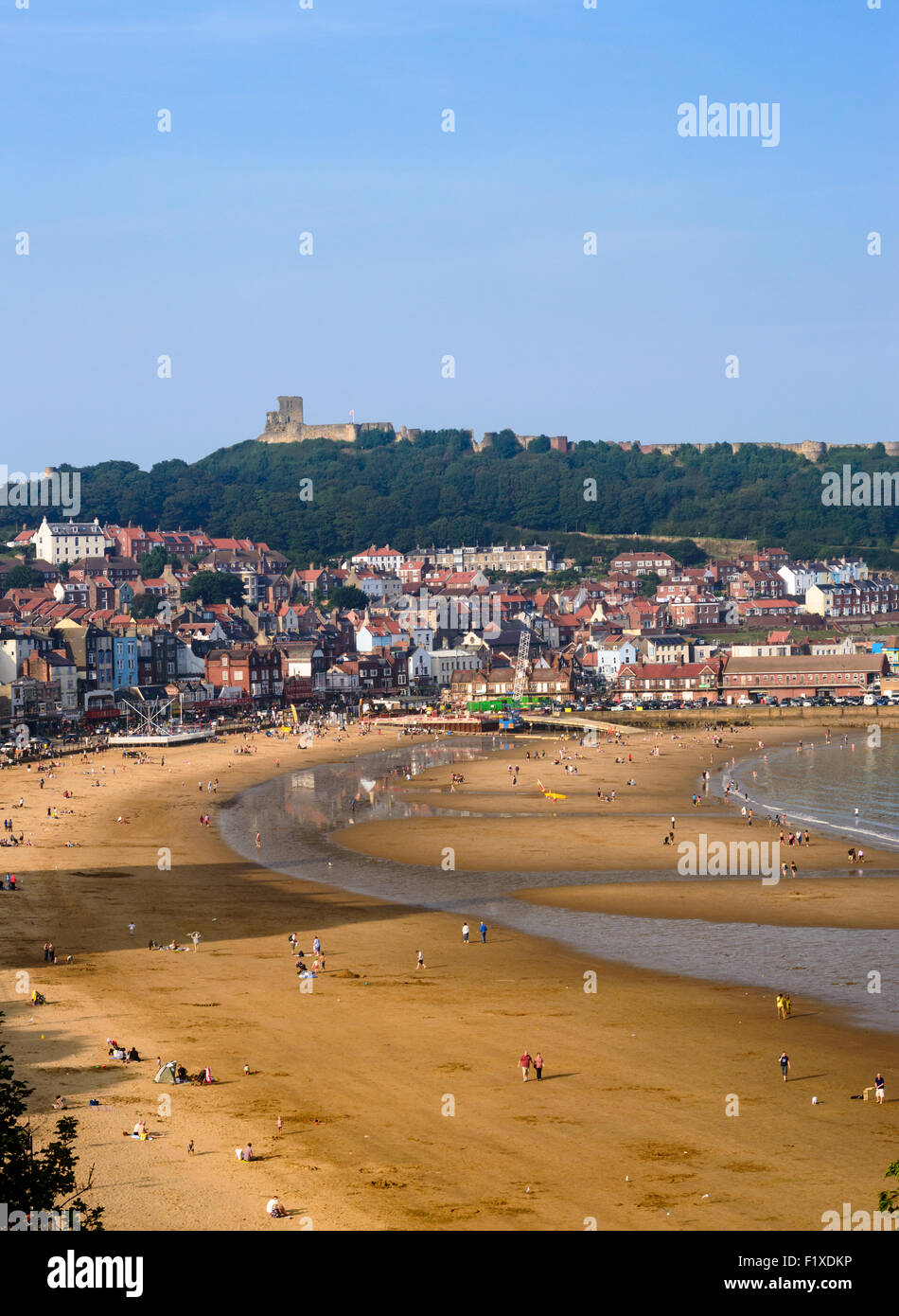 People enjoying various beach hi-res stock photography and images - Alamy