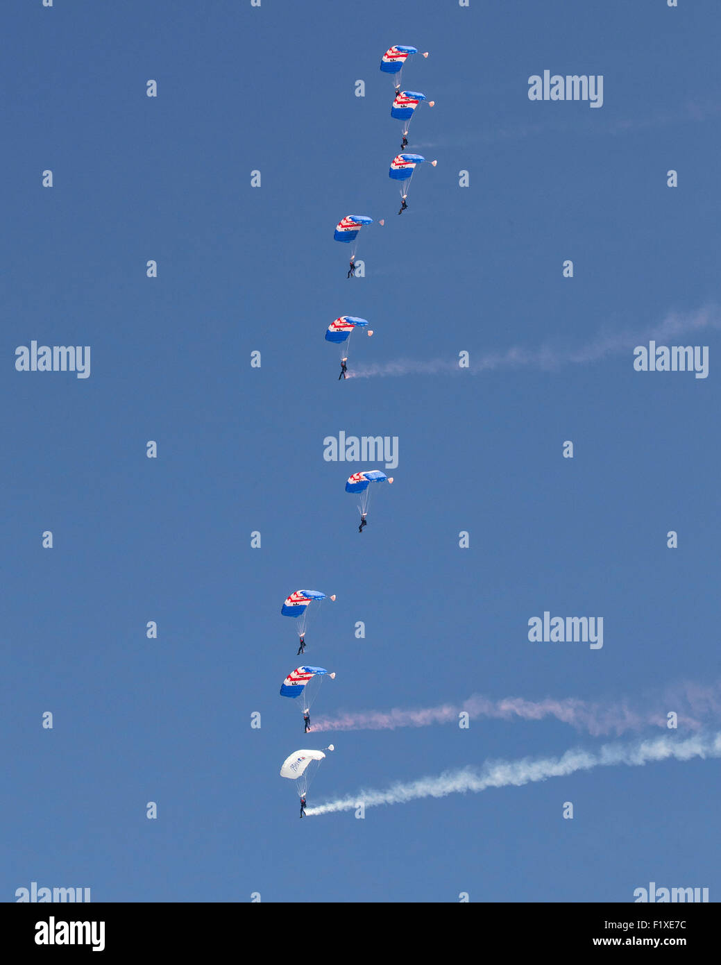 The RAF Falcons parachute display team at the 2015 Shoreham airshow ...