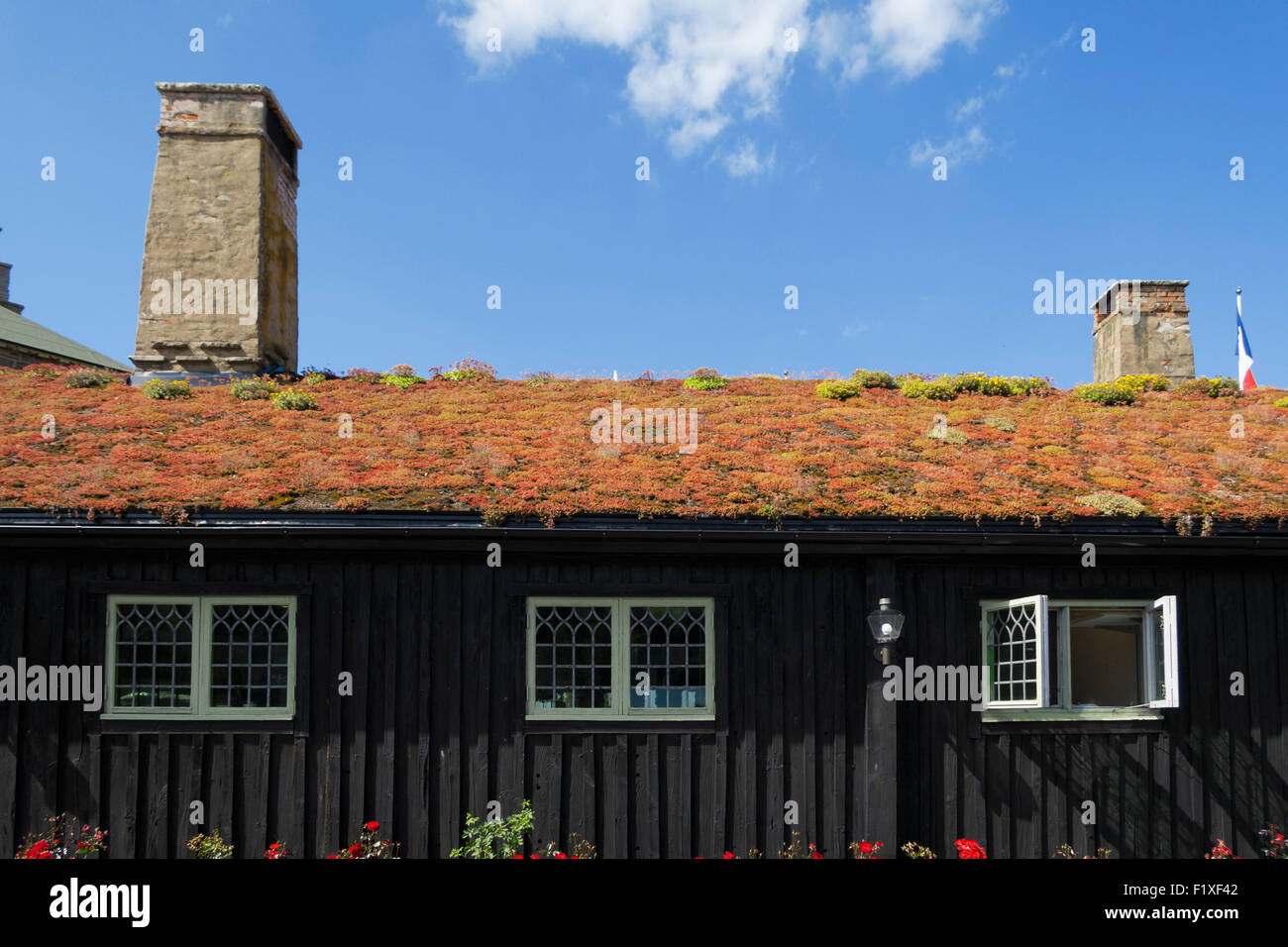 Culm rooftop green roof on a typical scandinavian house Stock Photo - Alamy