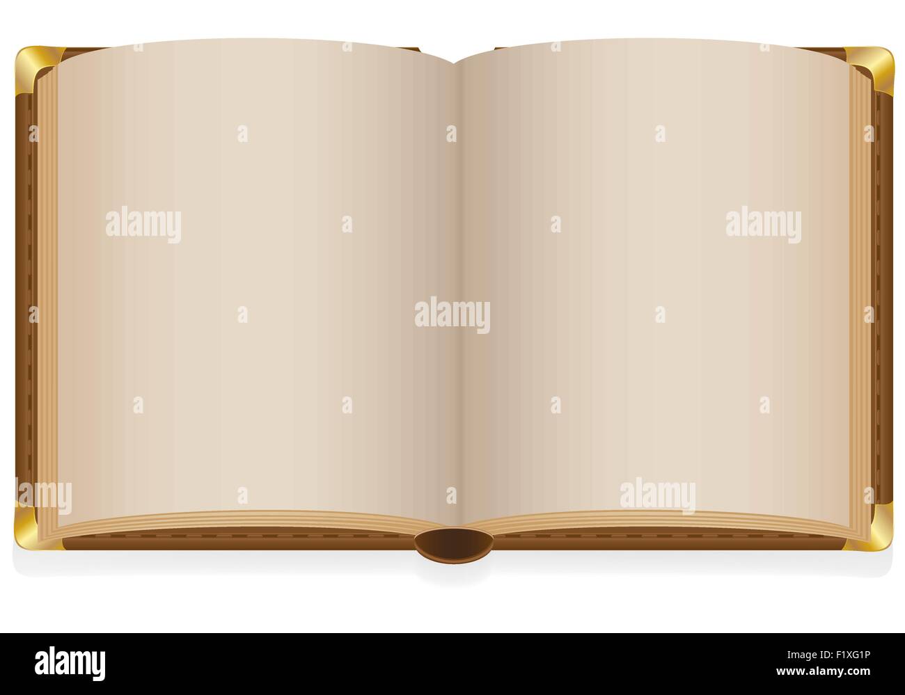 old open book with blank sheets vector illustration isolated on white ...