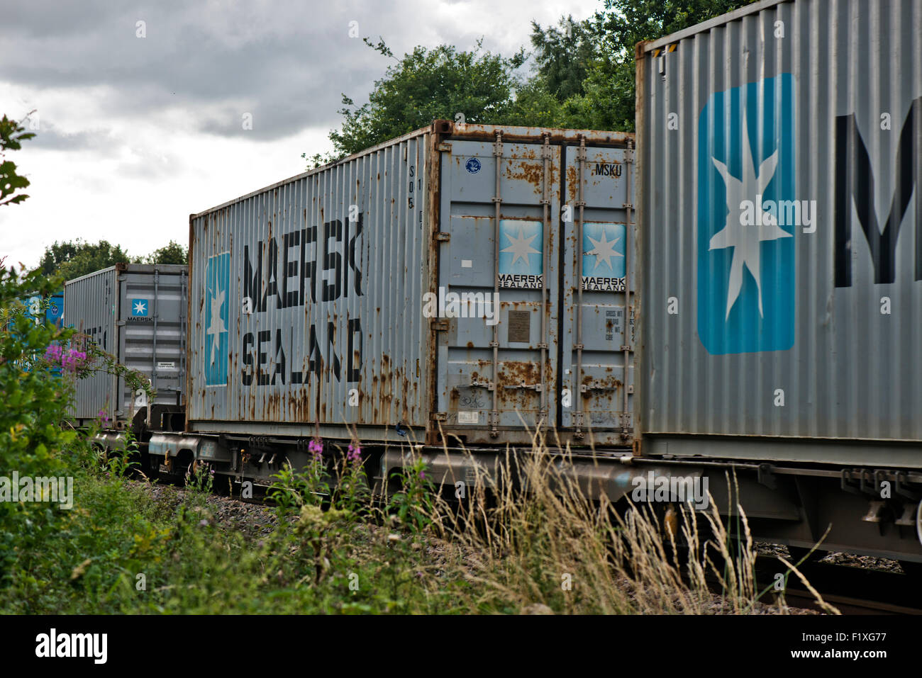 Maersk Sealand Train