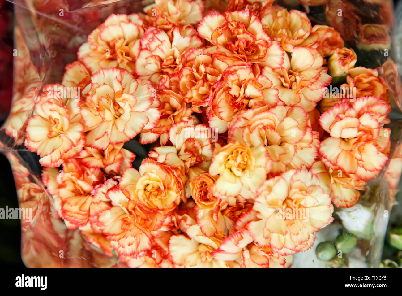 Close up of a flower bouquet Stock Photo - Alamy