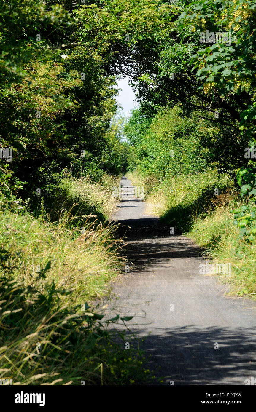 Footpath and cycle route in countryside Stock Photo - Alamy