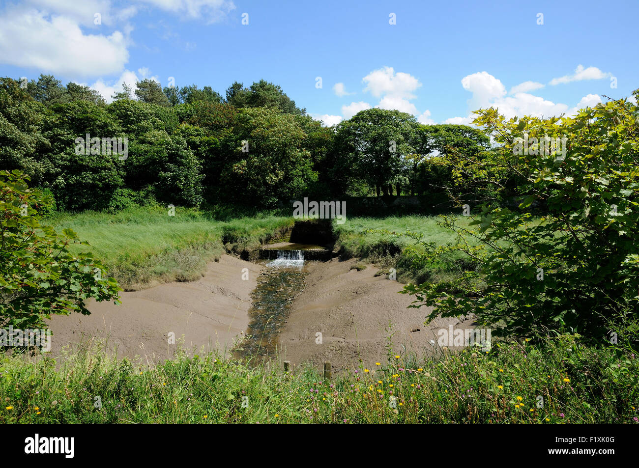 Open sewerage hi-res stock photography and images - Alamy
