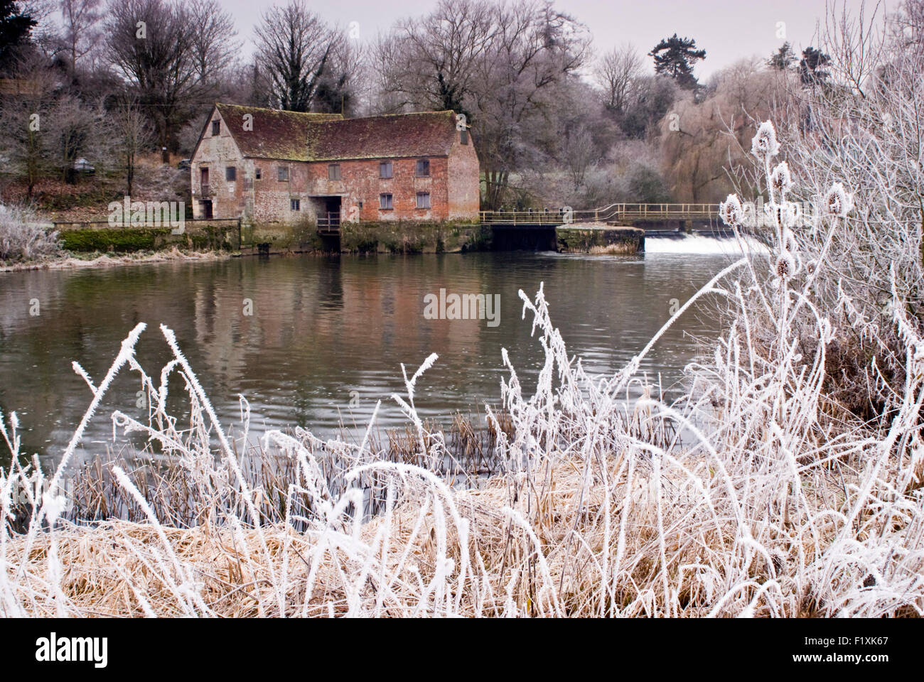 Sturminster newton mill dorset hi-res stock photography and images - Alamy