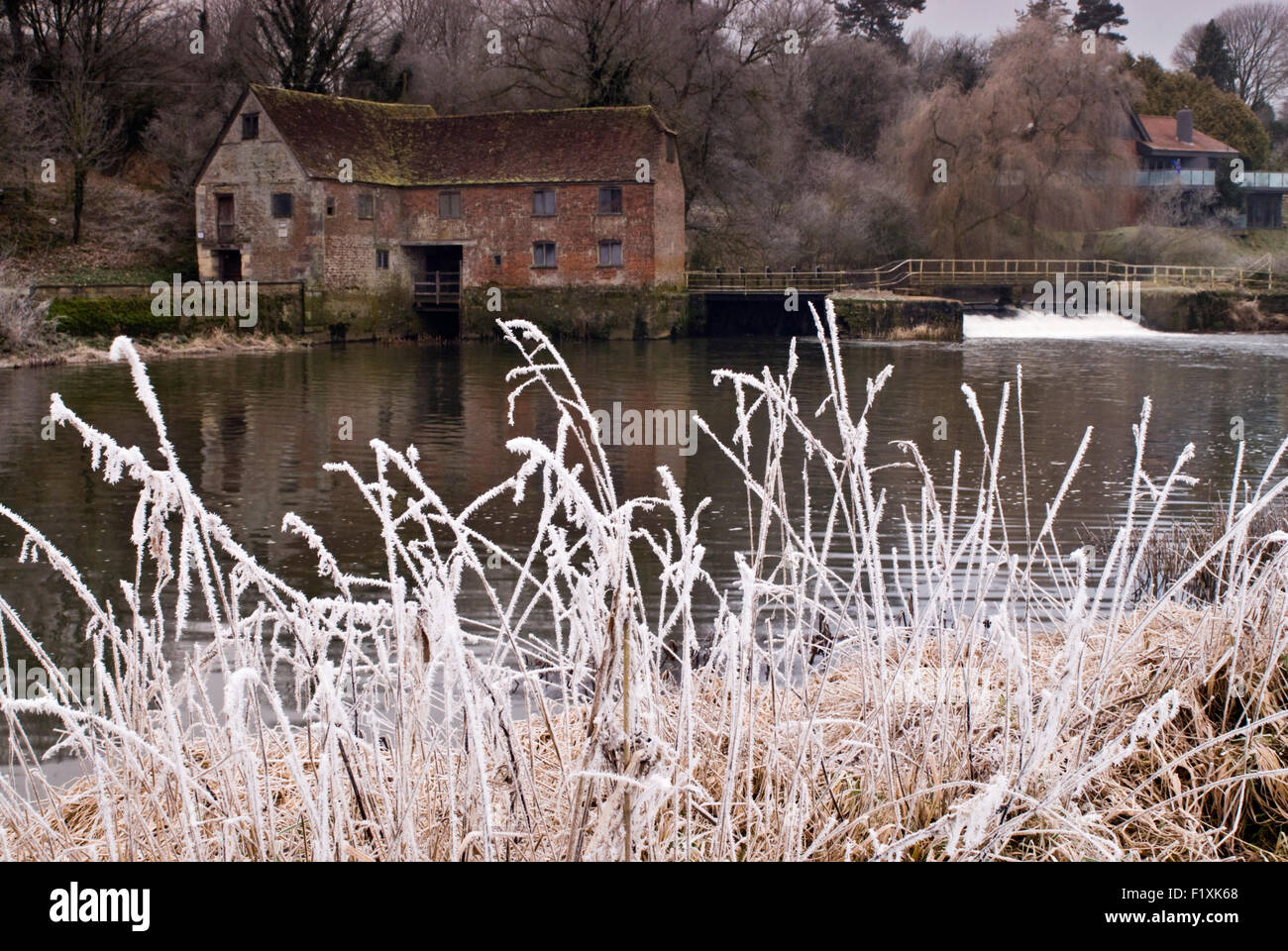 Frosty morning at Sturminster Newton Mill, Dorset, England, UK Stock ...