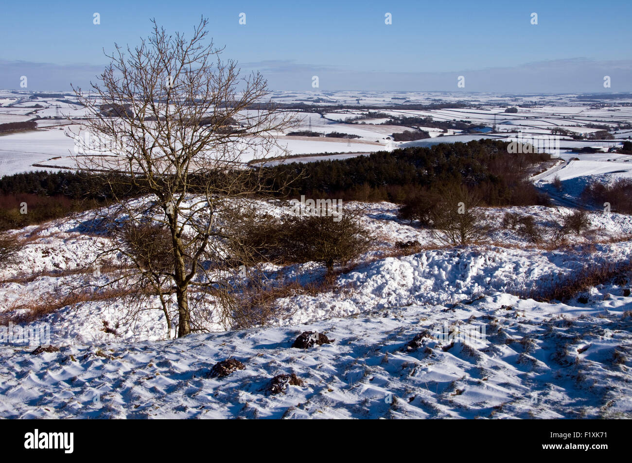 Wintery view looking East from next to Hardy's Monument on Black Down ...