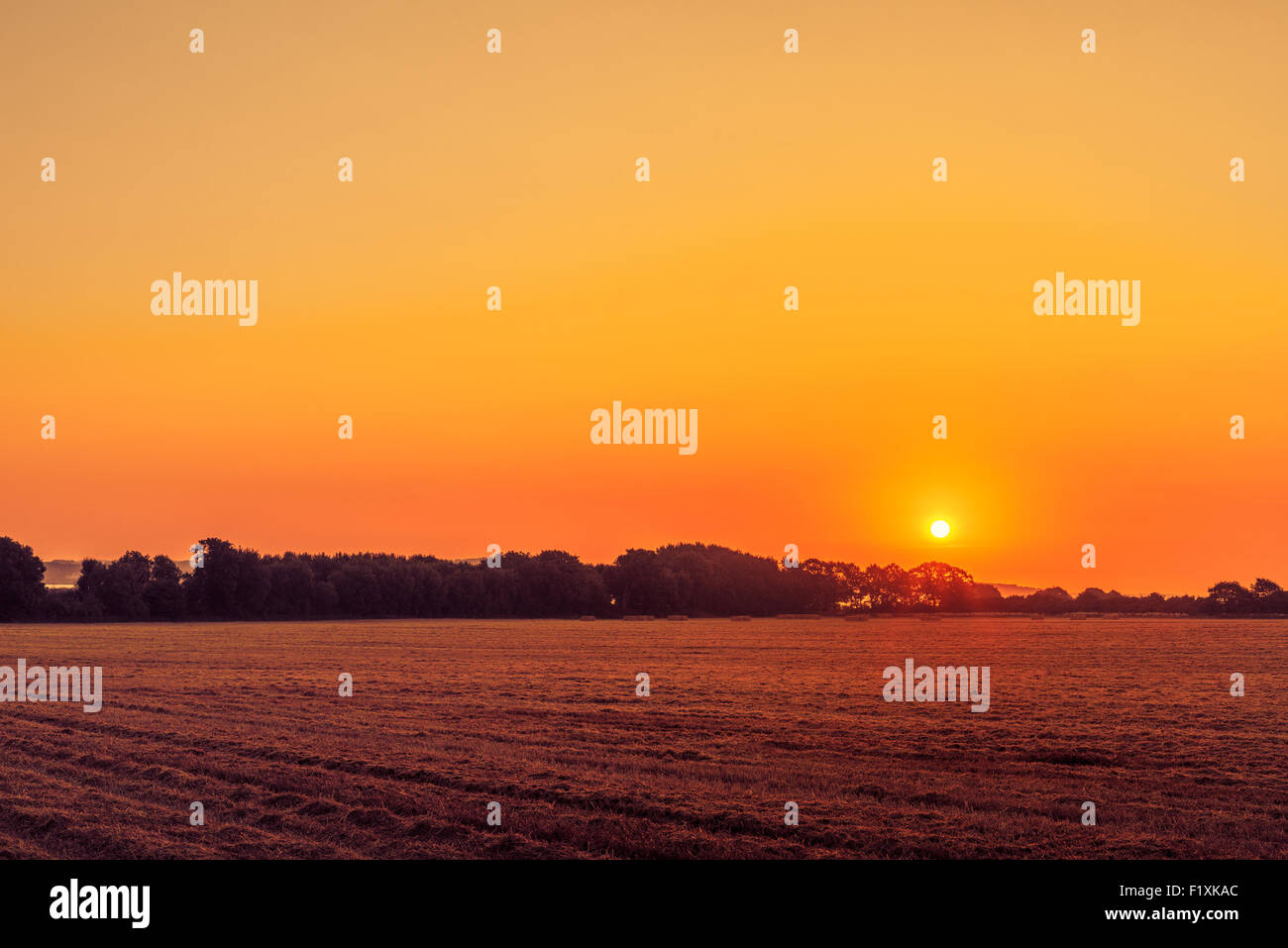 Beautiful sunrise in a countryside landscape an early morning Stock ...