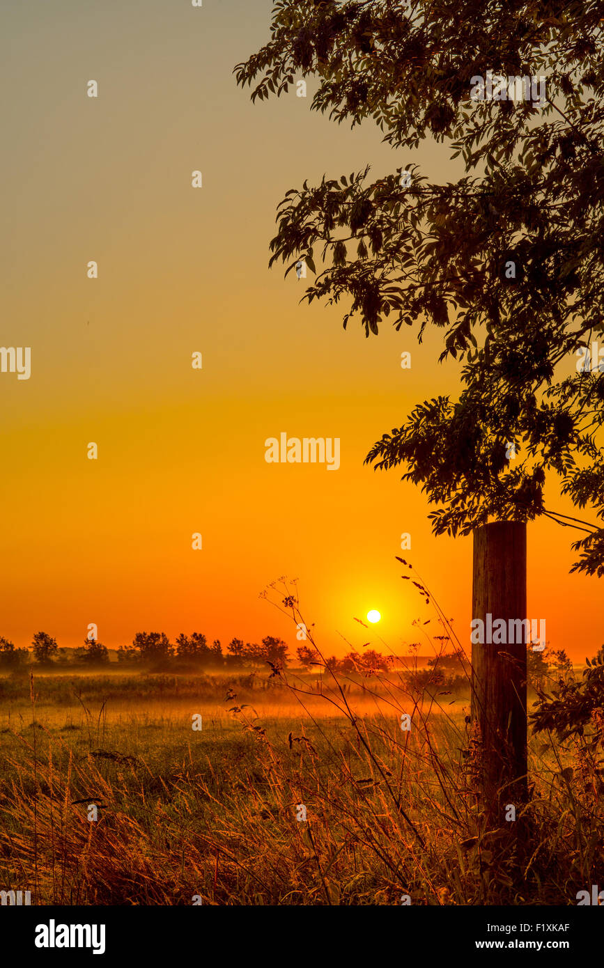 Summer landscapes hi-res stock photography and images - Alamy
