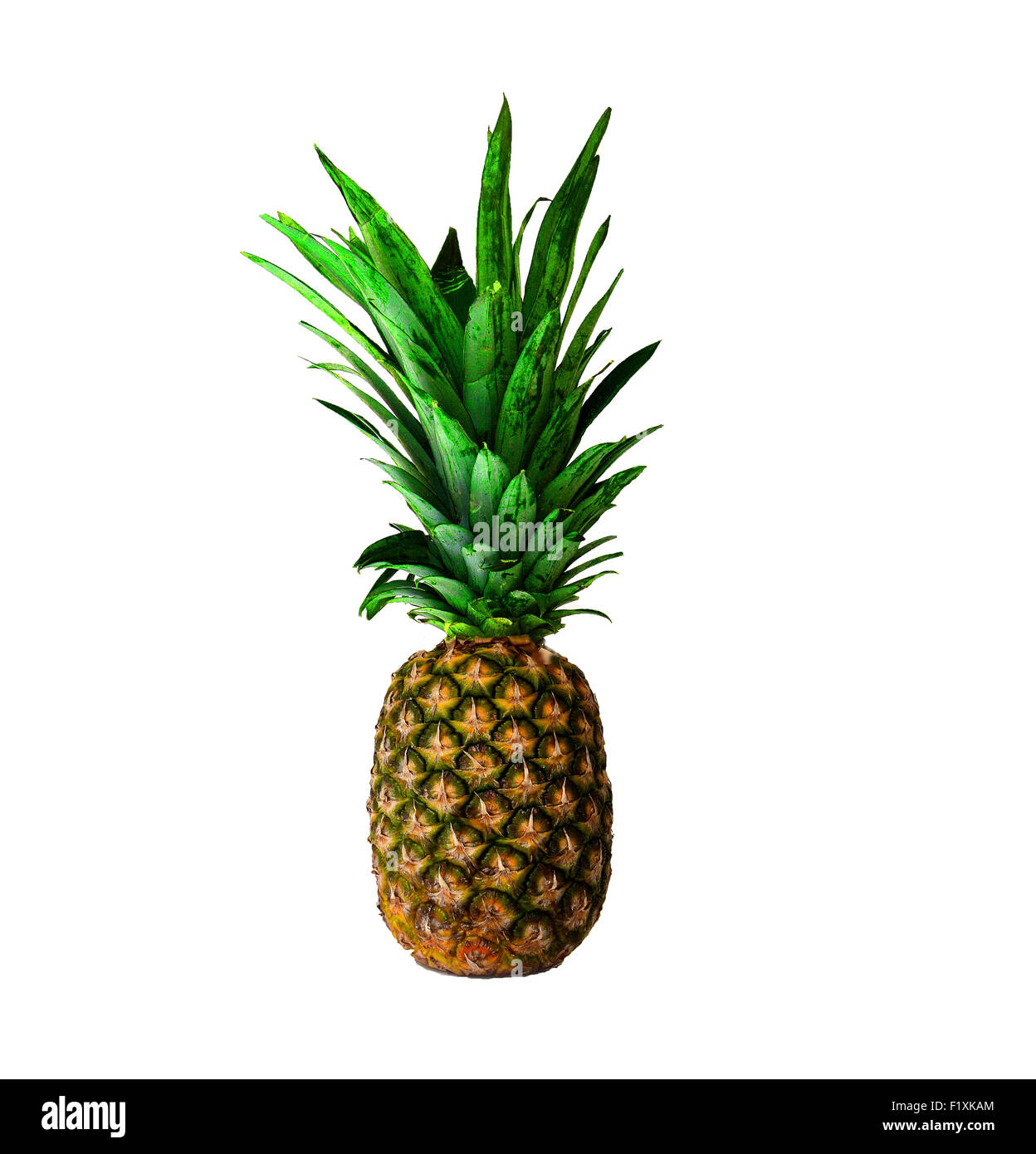 Pineapple on White Stock Photo - Alamy