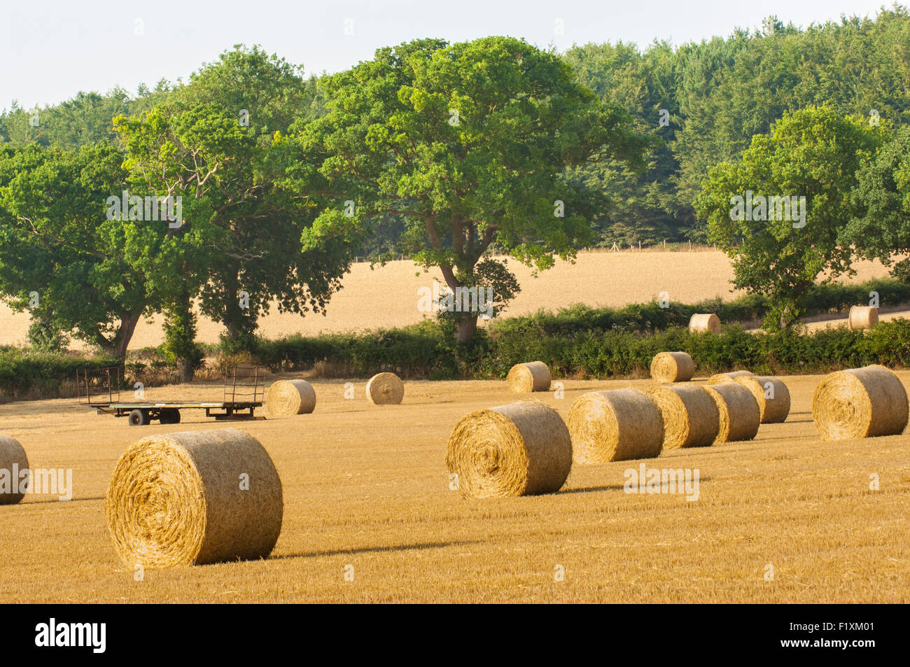 Round Bales on stubble field Stock Photo - Alamy