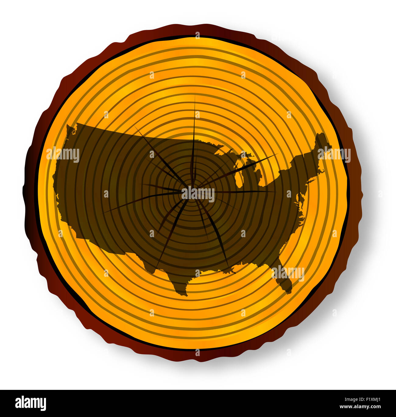 Map of The Unites States of America on a timber end section over a ...