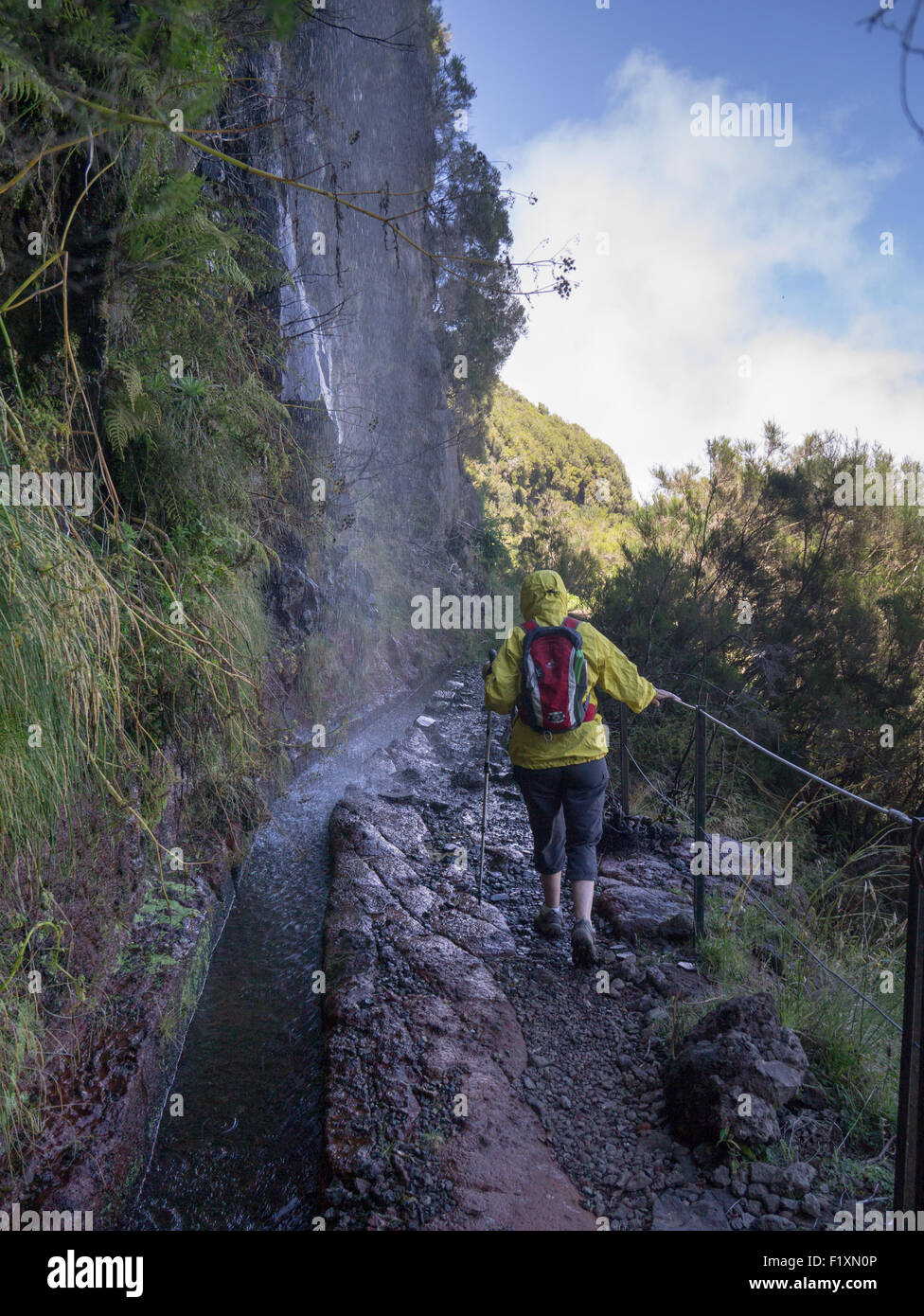 Levadas are irrigation canals built to bring water from the wet north ...