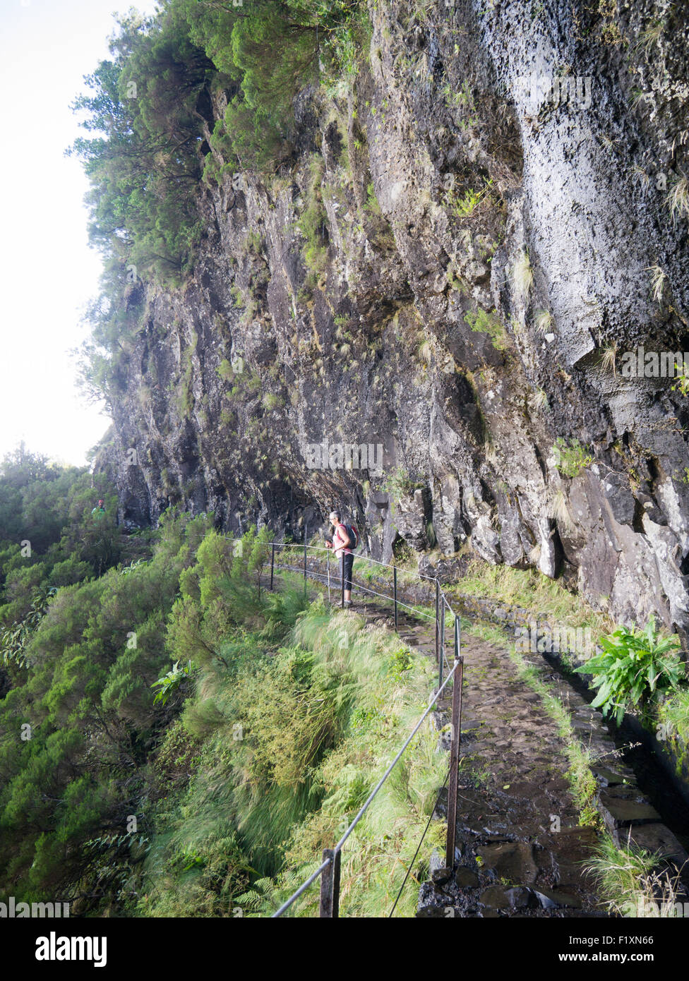 Irrigation channel madeira hiker hi-res stock photography and images ...