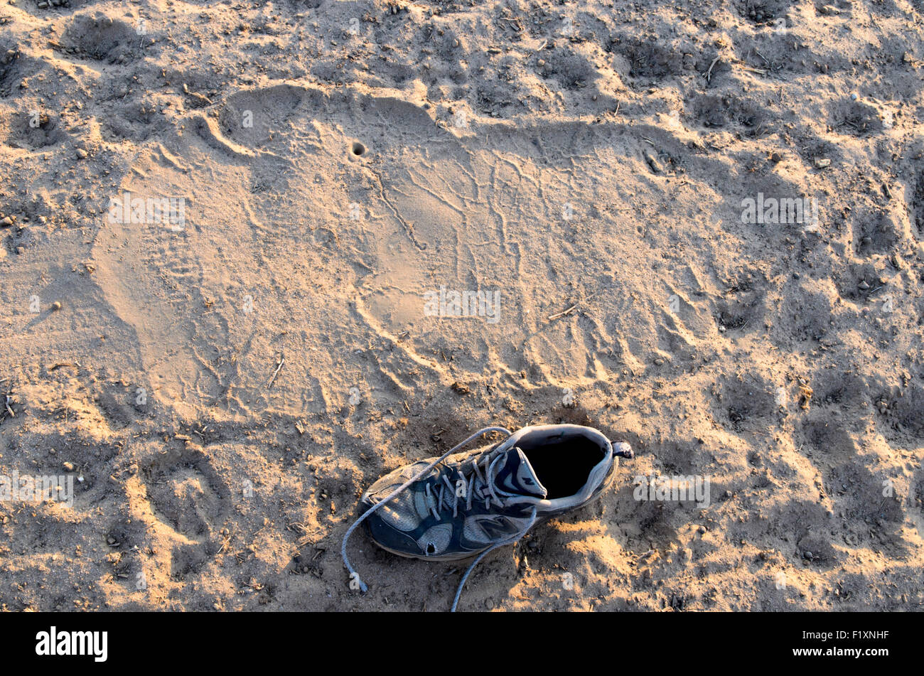 Elephant tracks hi-res stock photography and images - Alamy