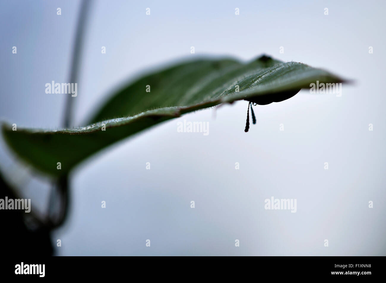 Deep secret hi-res stock photography and images - Alamy