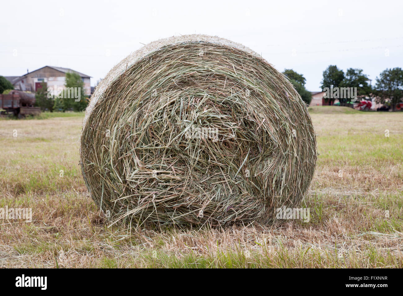 haystack on the field Stock Photo - Alamy