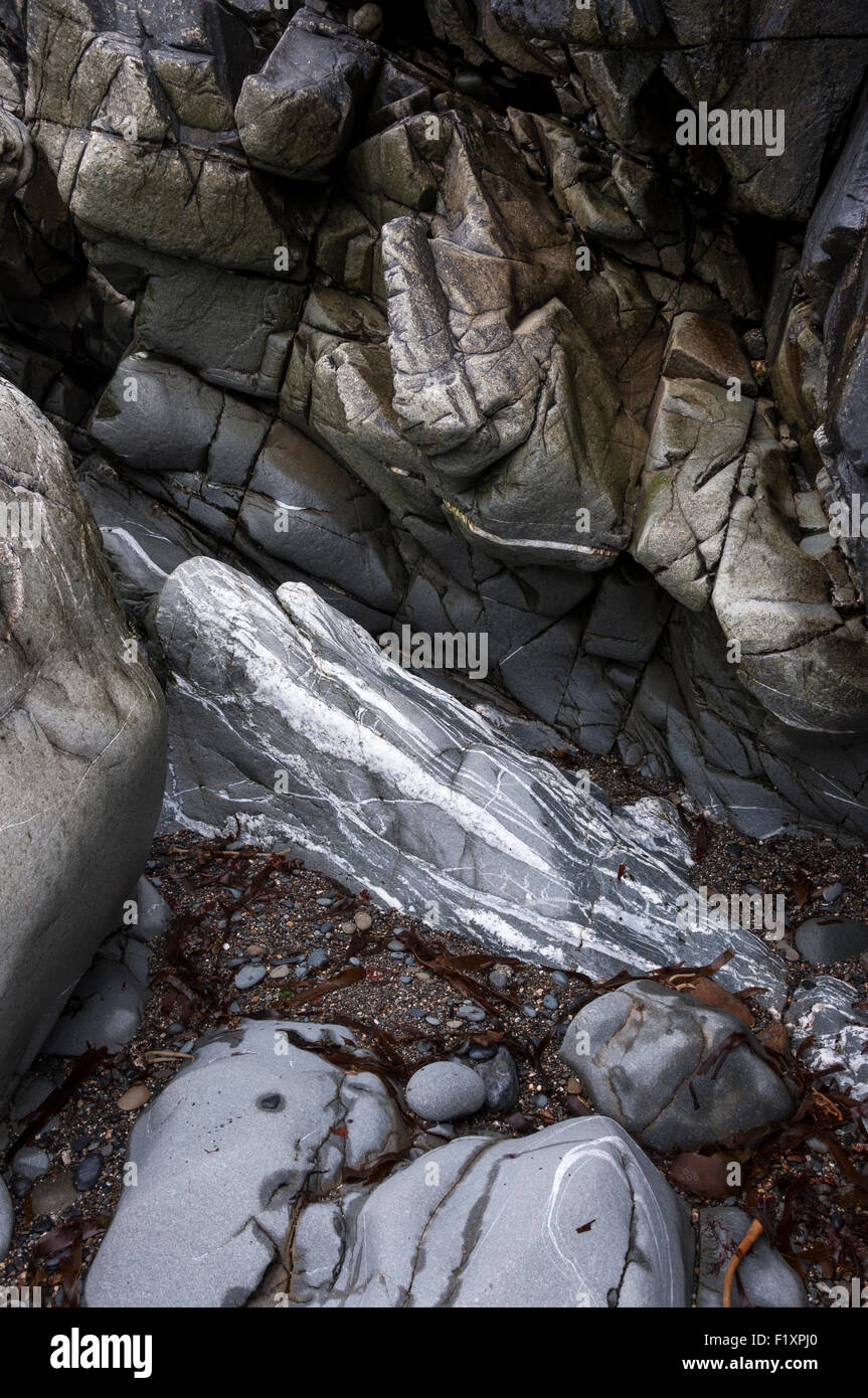 Smooth, worn rocks veined with quartz on Trefin beach in Pembrokeshire ...