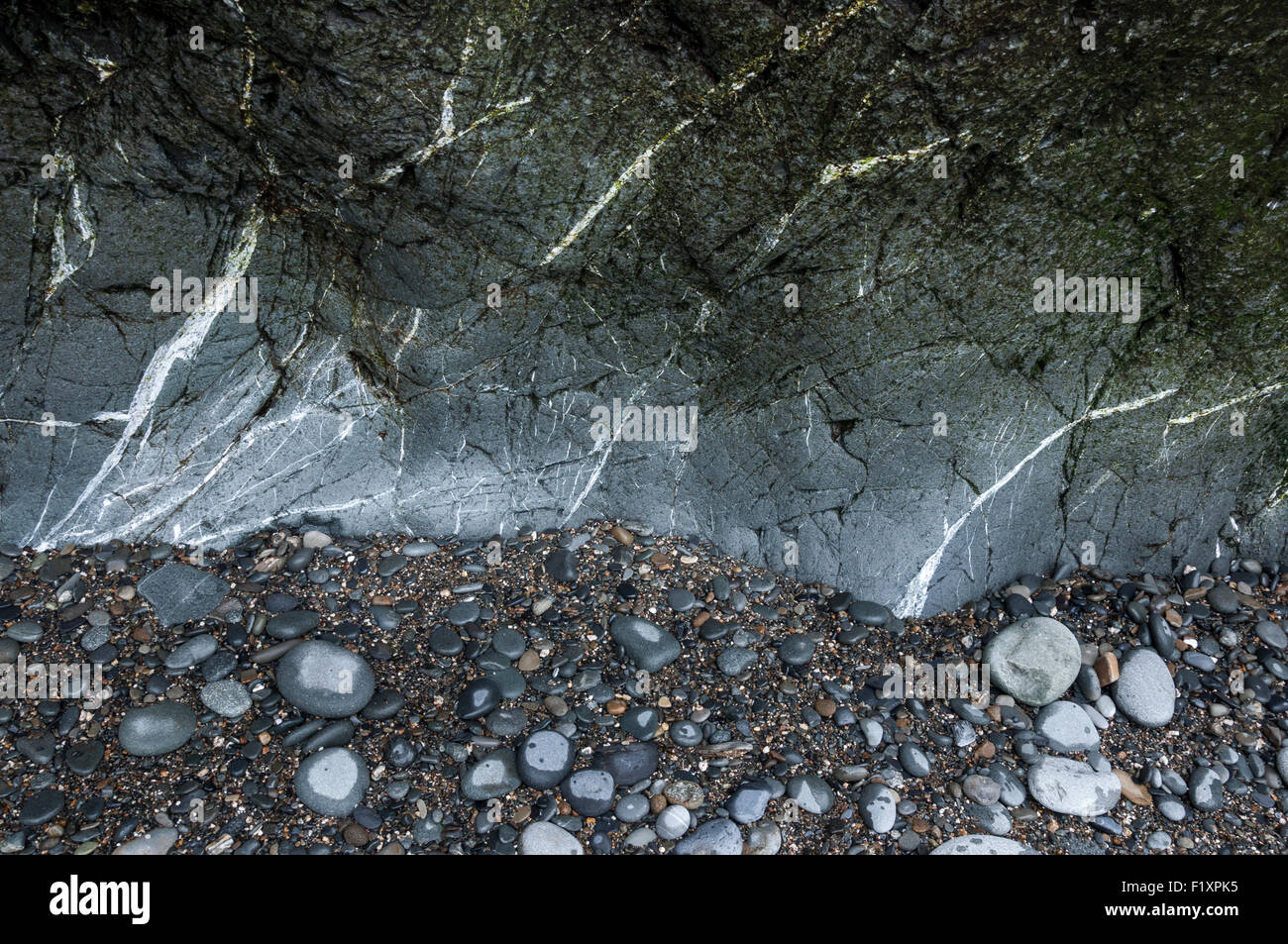 Smooth worn rocks and rounded pebbles on the beach at Trefin in ...