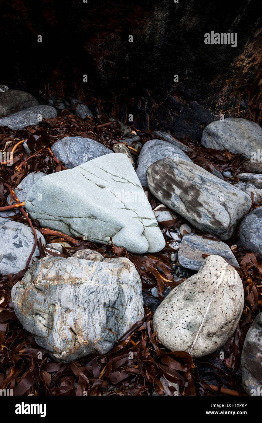 Nature study of rock shapes on the beach at Trefin in Pembrokeshire ...