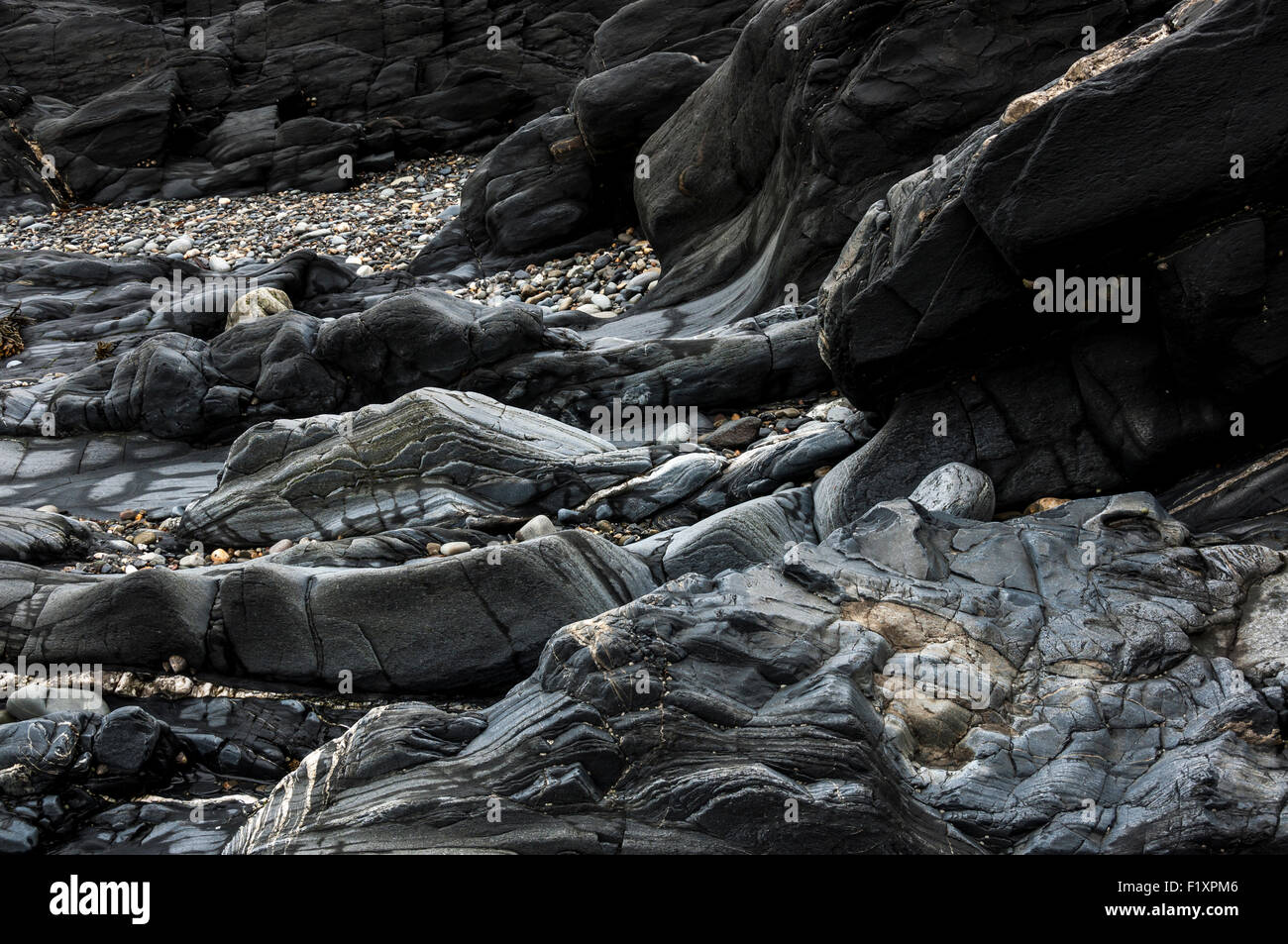 Contours of smooth, worn rocks on the beach at Trefin in Pembrokeshire ...