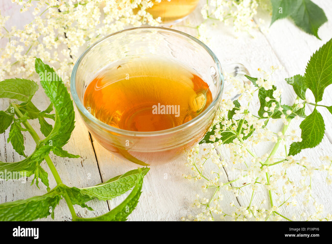 Elderflower tea hi-res stock photography and images - Alamy