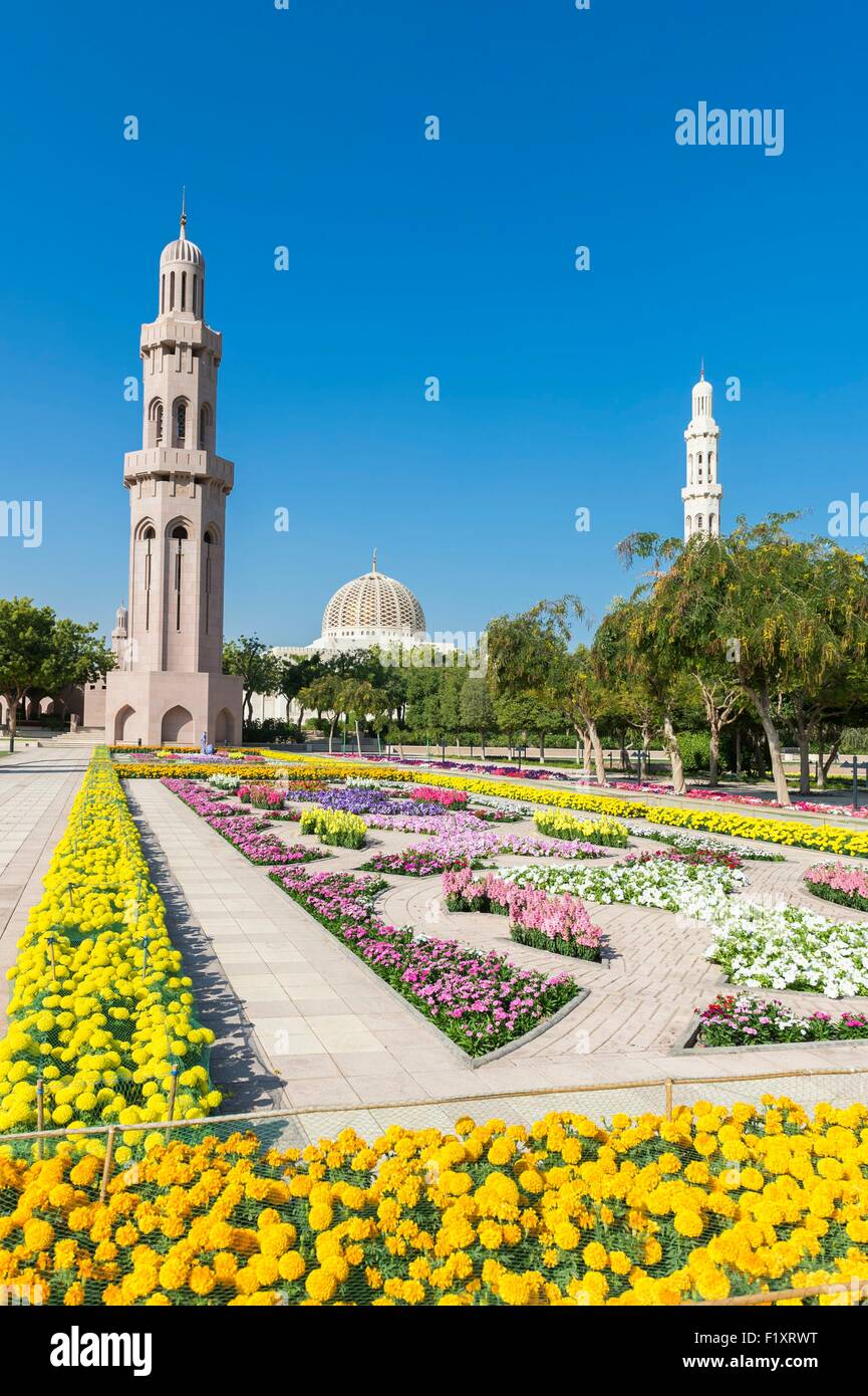 Sultanate of Oman, gouvernorate of Mascate, Mascate or Muscat, Sultan ...