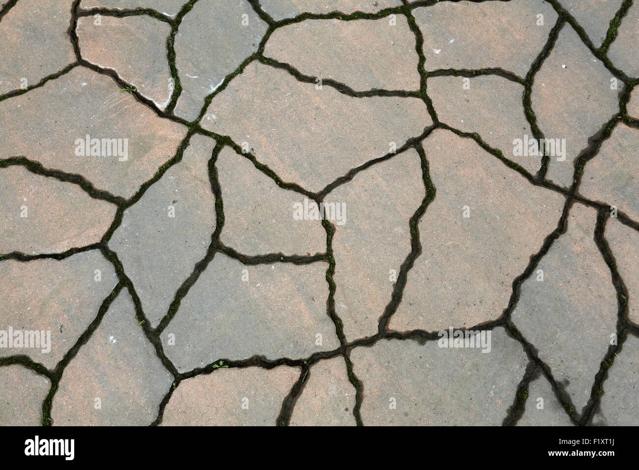 Paved path pathway hi-res stock photography and images - Alamy