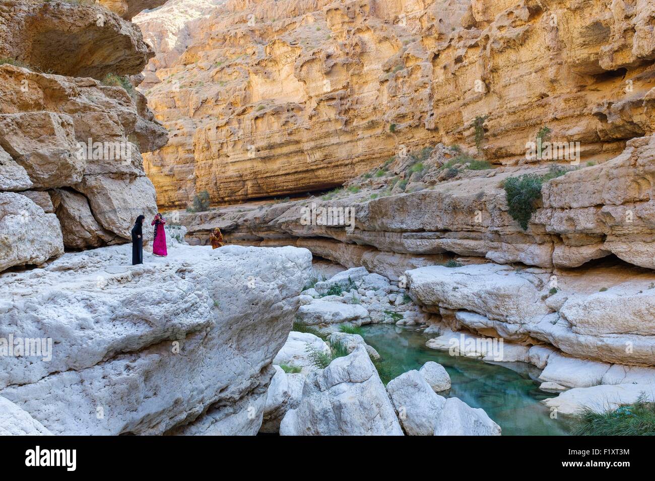 Sultanate of Oman, gouvernorate of Ash Sharqiyah, Wadi ash Shab Stock ...