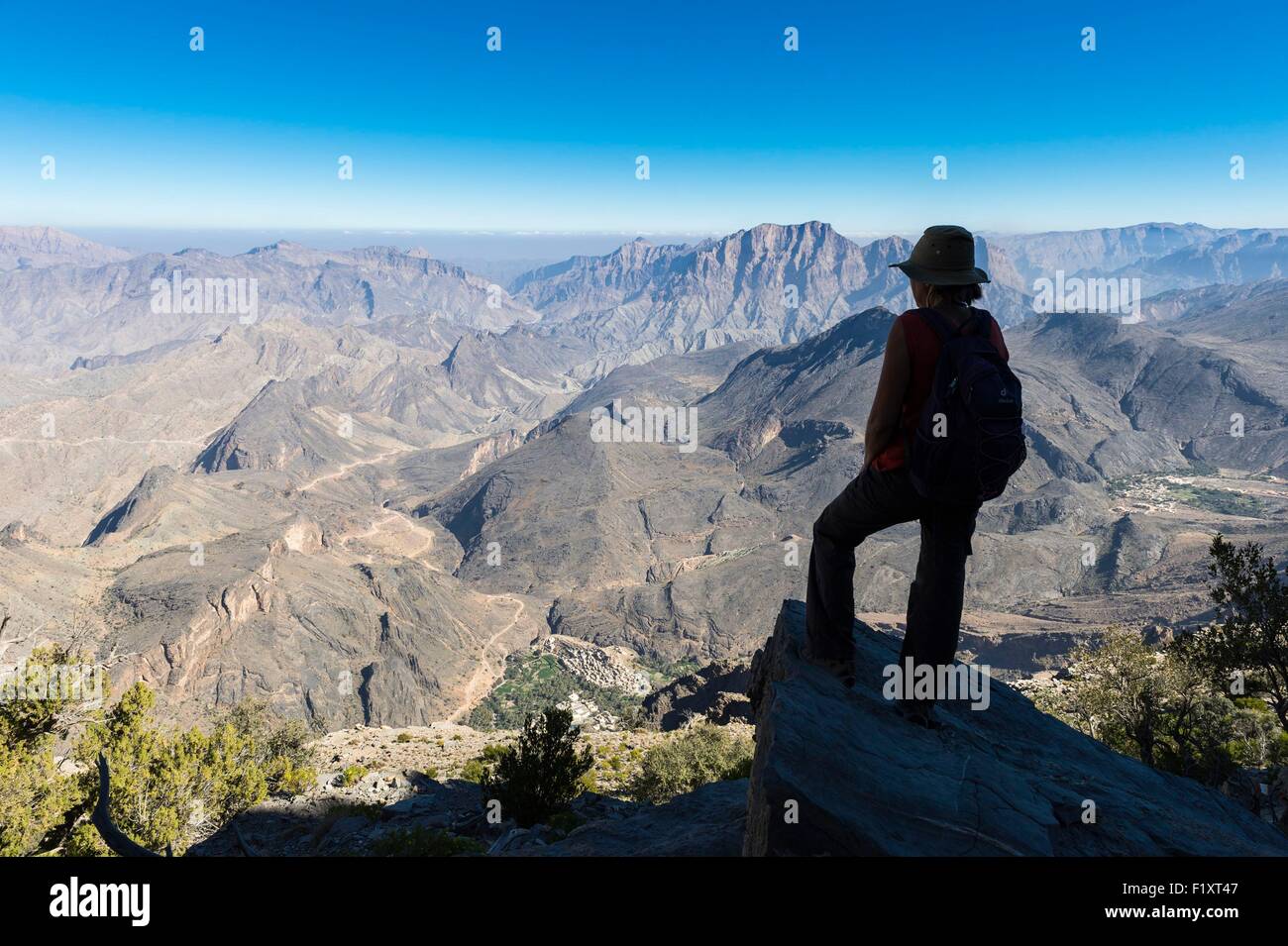 Sultanate of Oman, gouvernorate of Al-Batinah, Wadi Bani Awf in Al ...