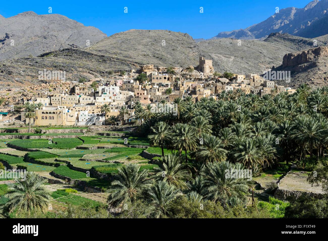 Sultanate of Oman, gouvernorate of Al-Batinah, Wadi Bani Awf in Al ...