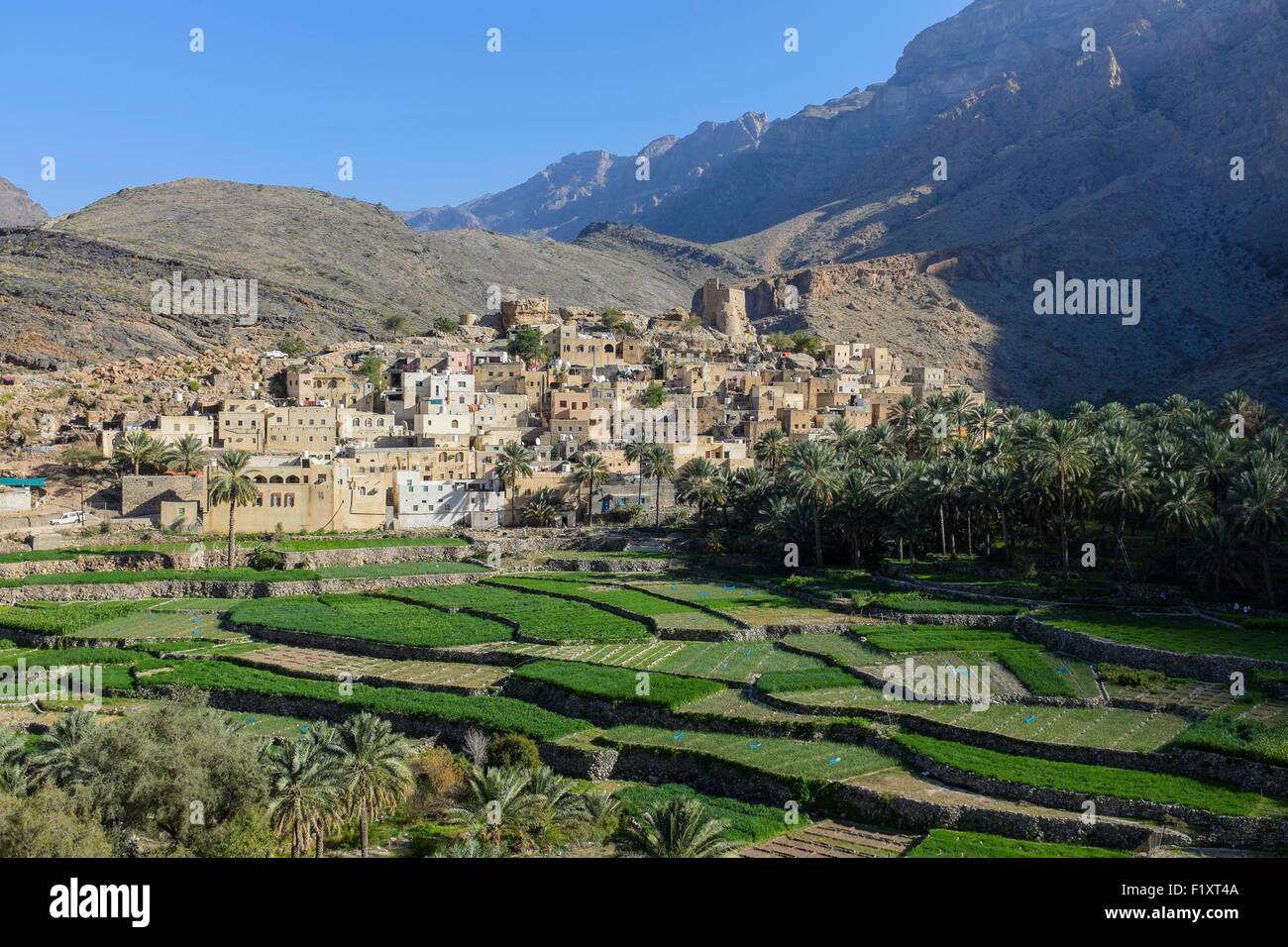 Sultanate of Oman, gouvernorate of Al-Batinah, Wadi Bani Awf in Al ...