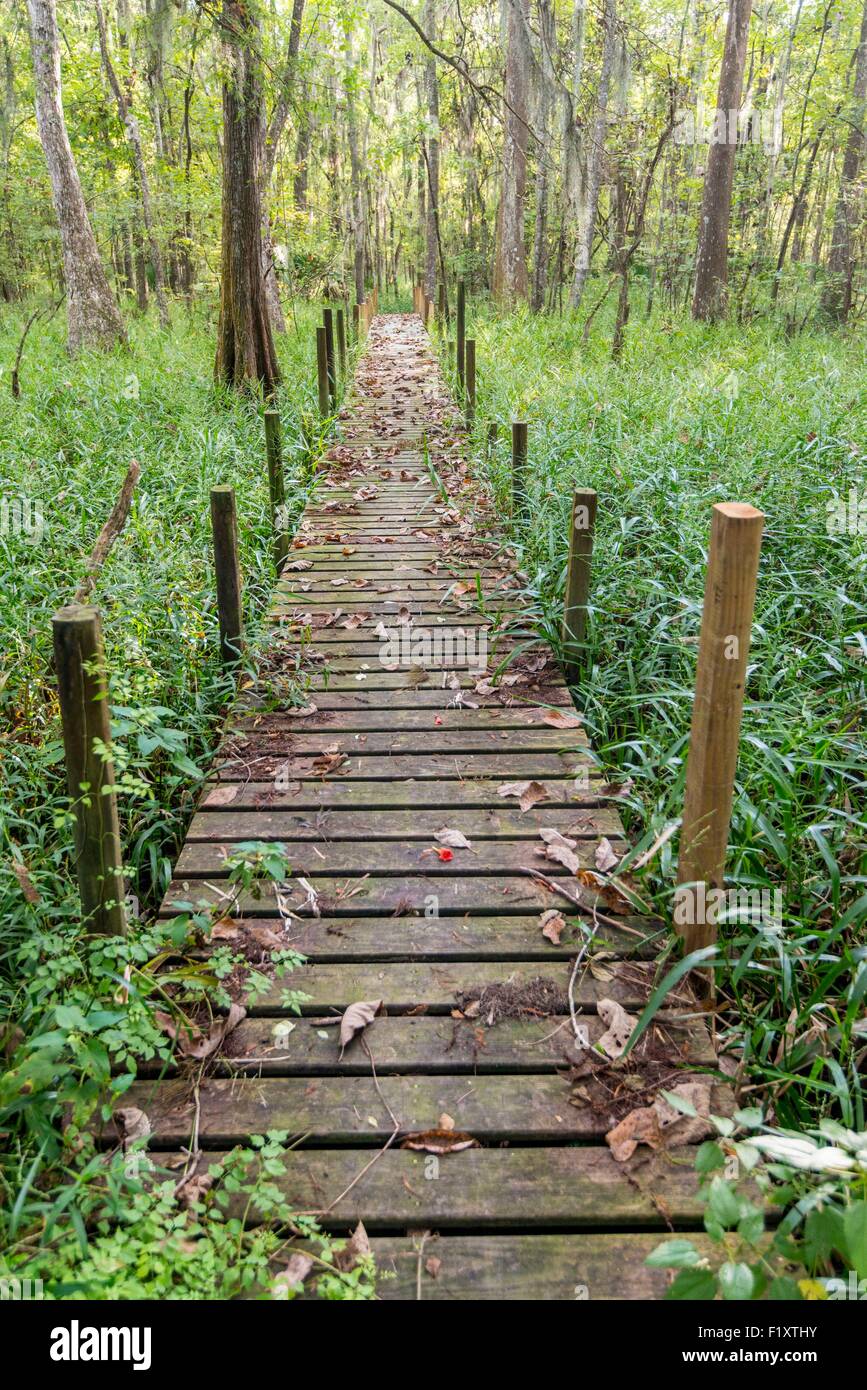 United States, Louisiana, path on stilts in Lake Fausse Pointe Bayou ...