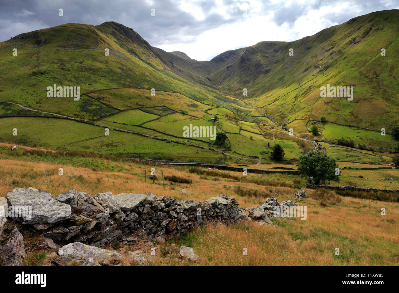 Summer view over Gray Crag Fell, Hartsop, Lake District National Park ...