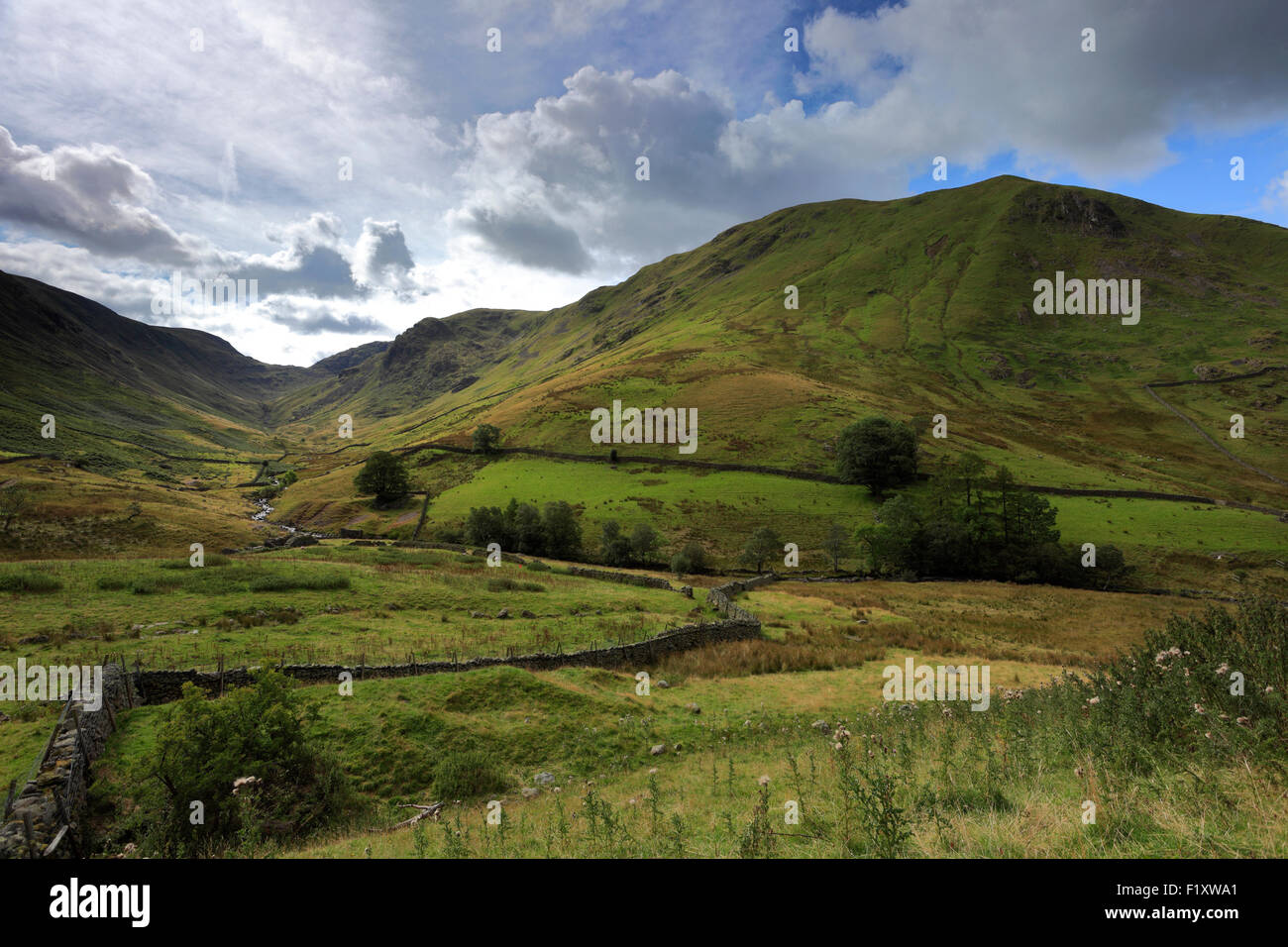 Summer, Threshthwaite Glen, Hartsop valley, Lake District National Park ...