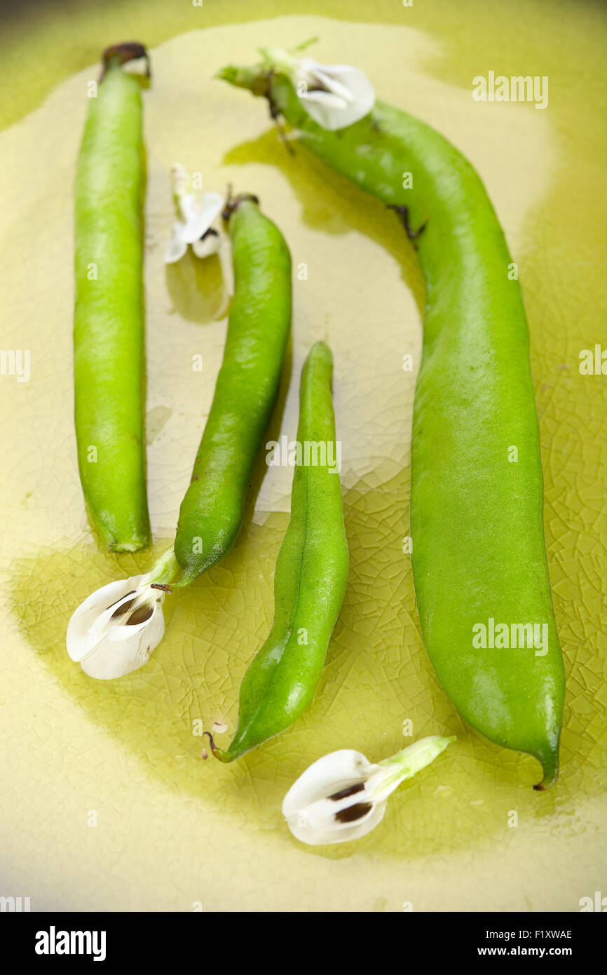 Raw broad bean hi-res stock photography and images - Alamy