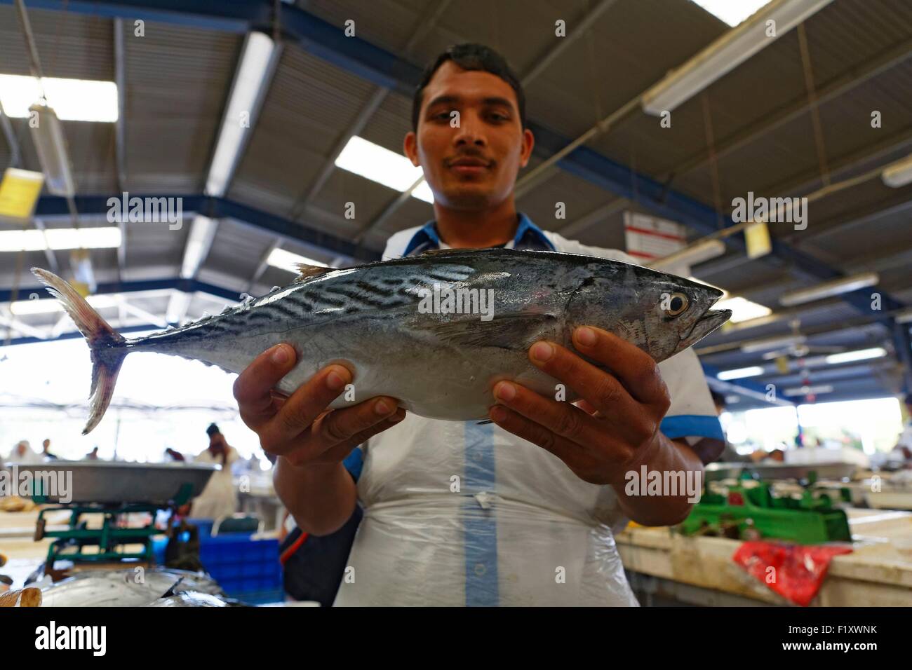 United Arab Emirates, Dubai, Deira, Fish Market Stock Photo - Alamy