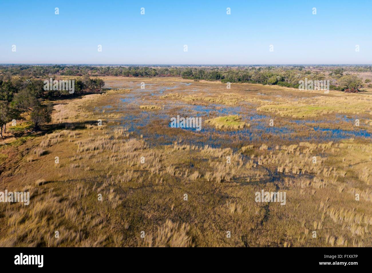 Botswana, Okavango Delta (aerial view Stock Photo - Alamy
