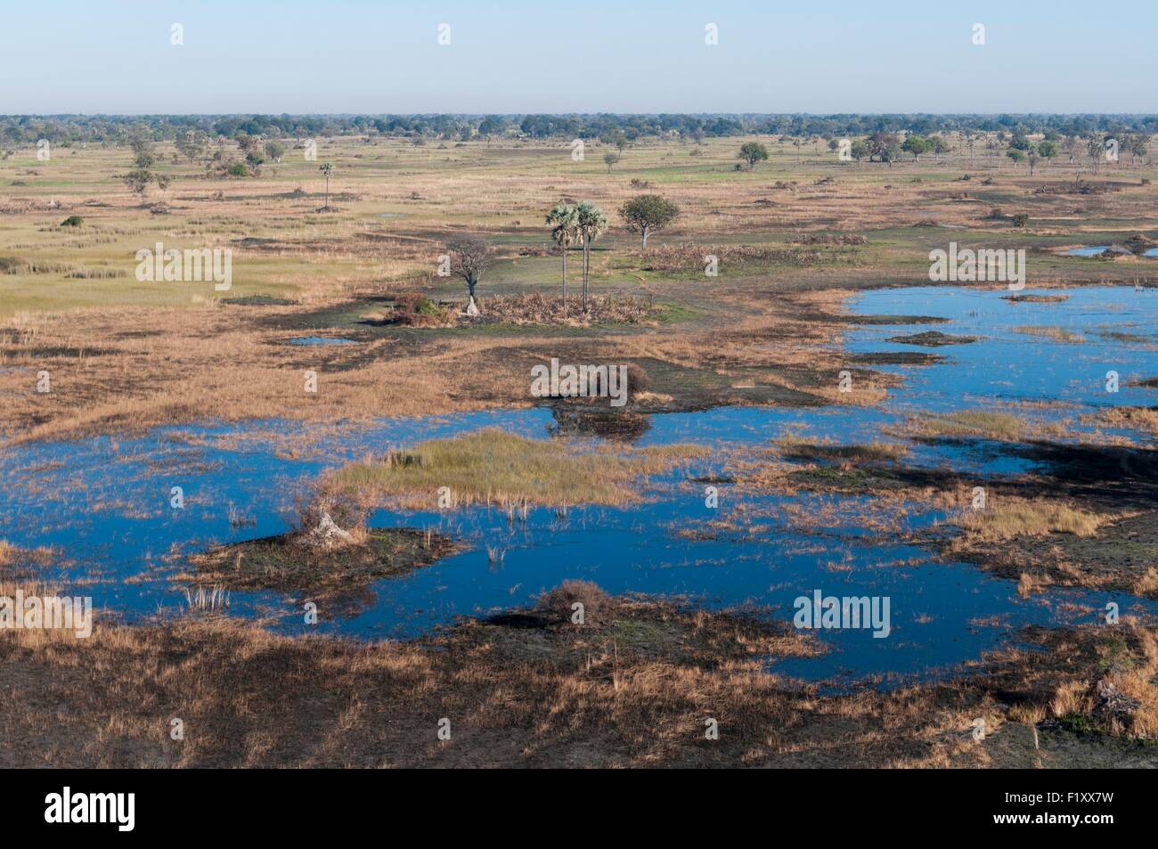 Botswana, Okavango Delta (aerial view Stock Photo - Alamy