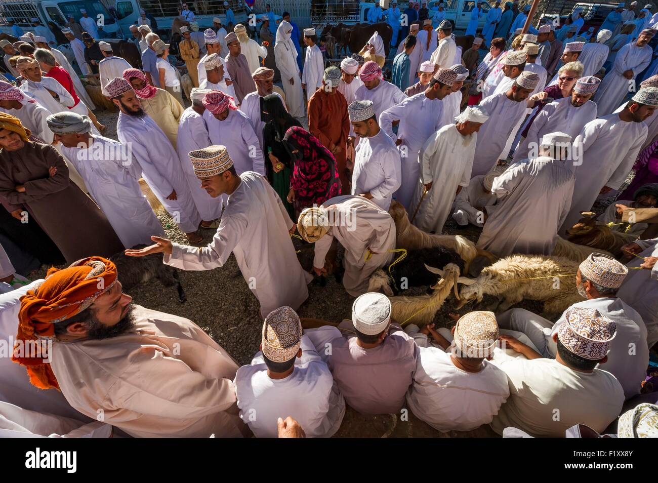 Oman, Ad-Dakhiliyah, cattle market Stock Photo - Alamy