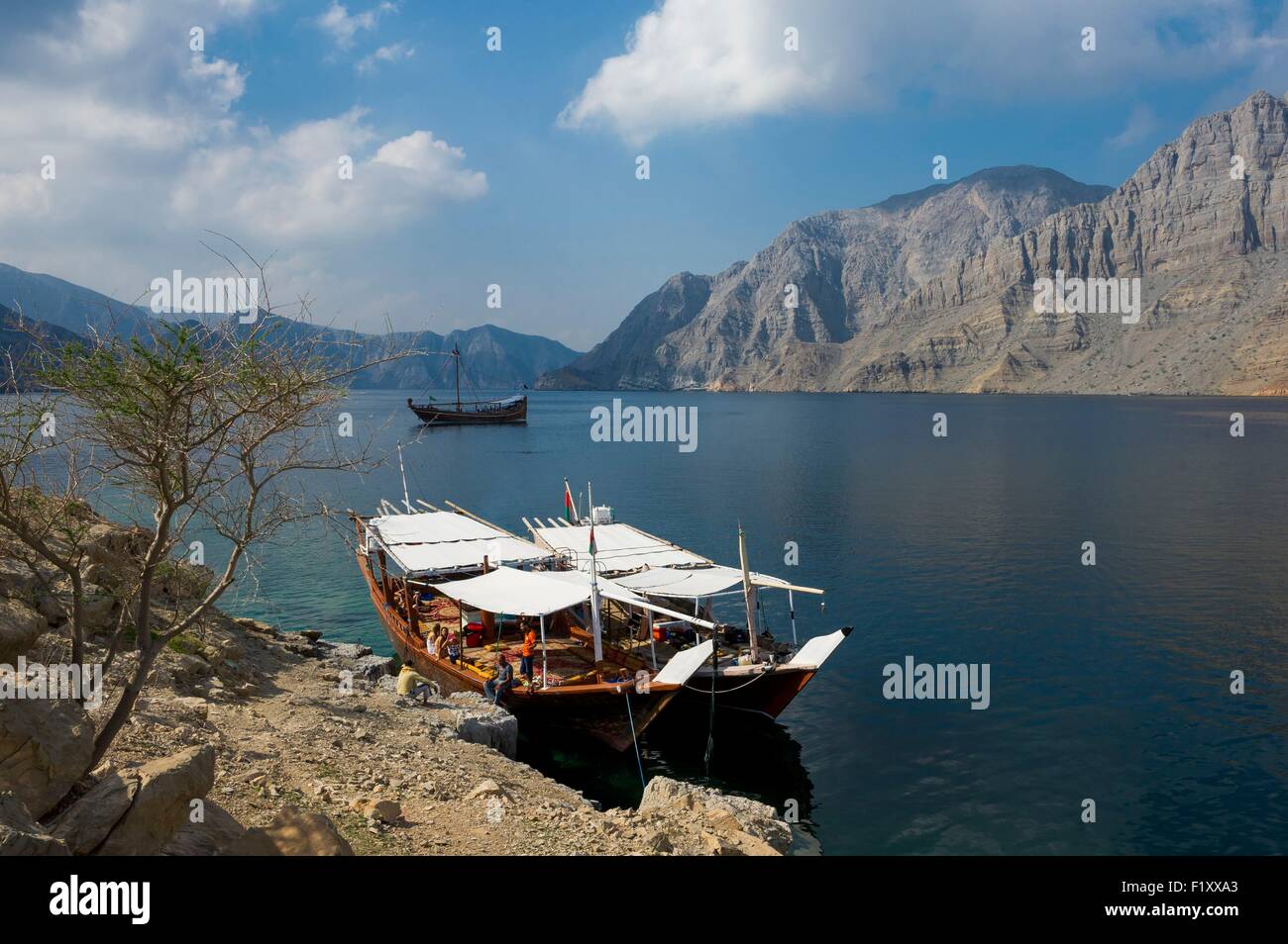 Oman, Khasab, Musandam, cruise in the fjords on a dhow, traditional ...