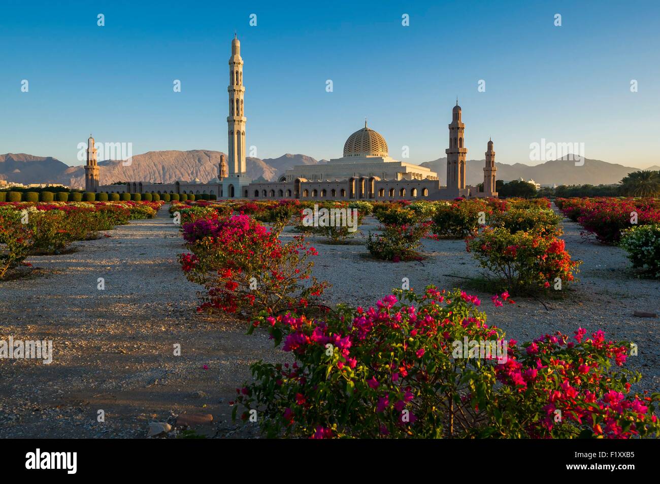 Oman mosque muscat hi-res stock photography and images - Alamy