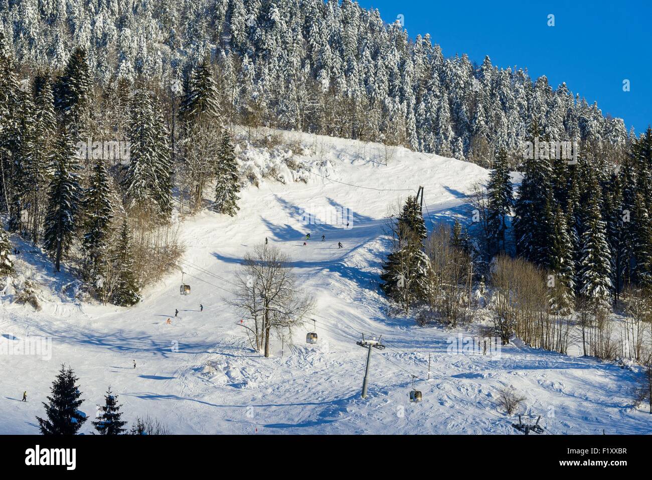 France, Isere, Parc Naturel Regional de la Chartreuse (Natural regional ...