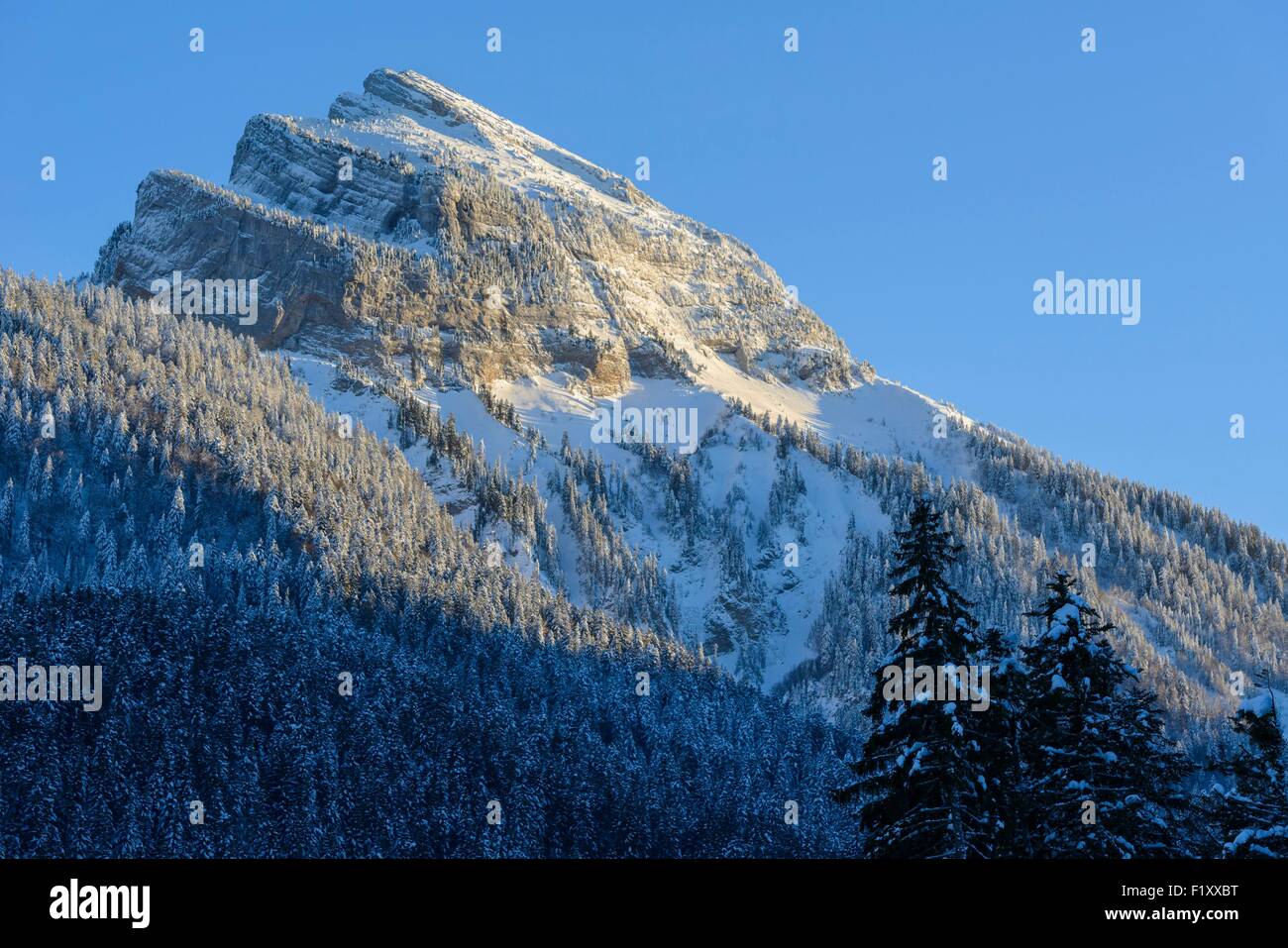 France, Isere, Parc Naturel Regional de la Chartreuse (Natural regional ...