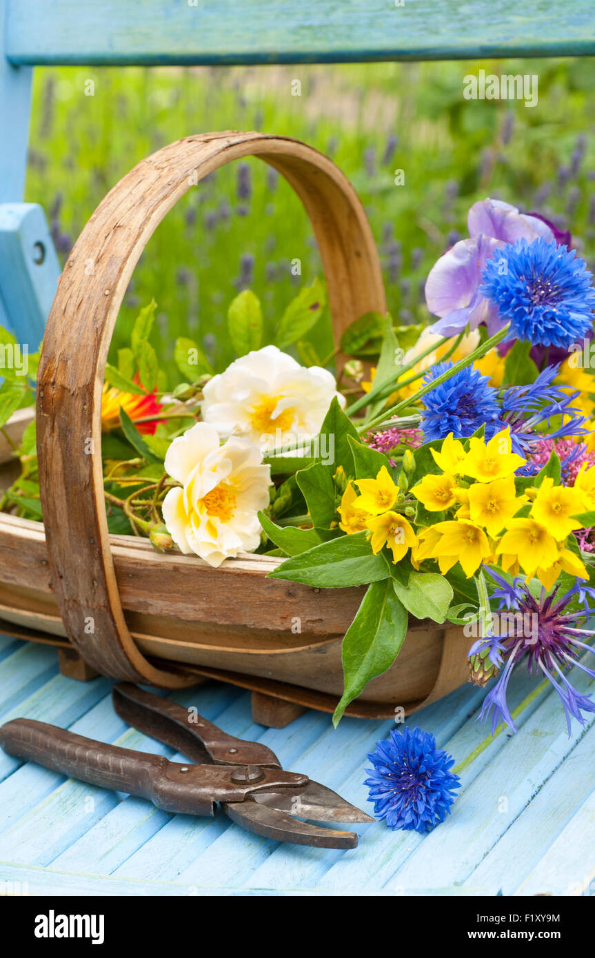 Garden lifestyle still life arrangement. Flowers in Trug Stock Photo ...